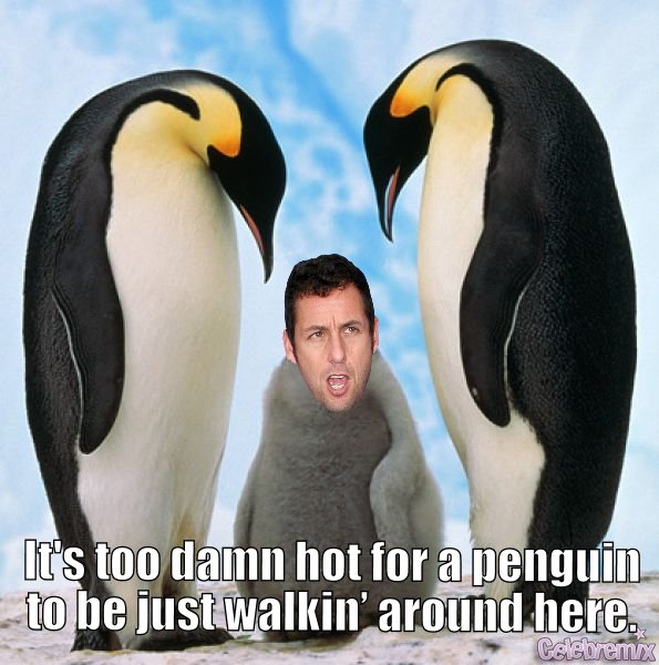 Billy Madison Penguin Quotes. QuotesGram