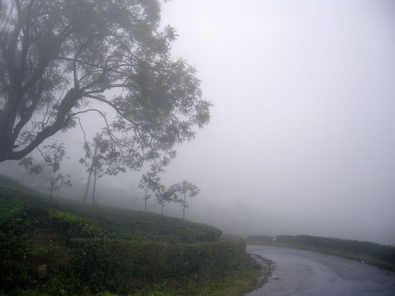 Mist Quotes. QuotesGram