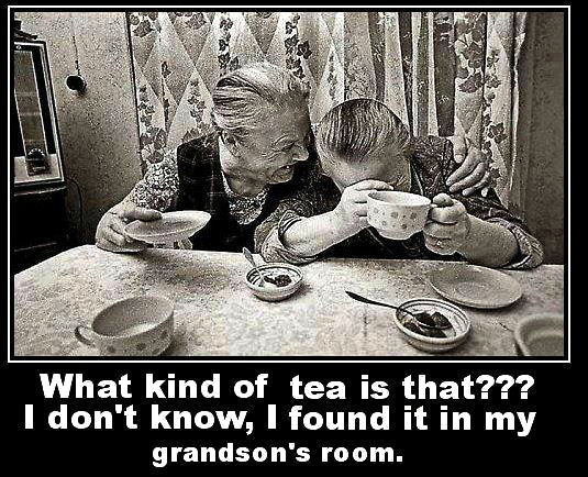 Tea Quotes Funny Quotesgram