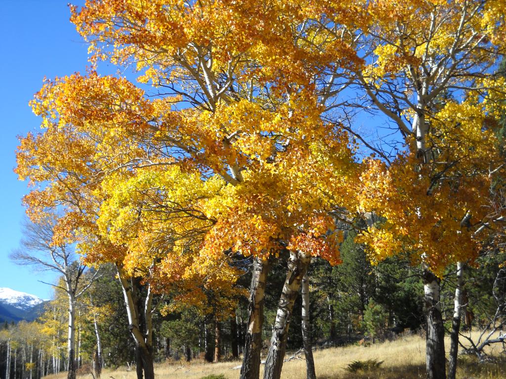 Colorado River Quotes. QuotesGram