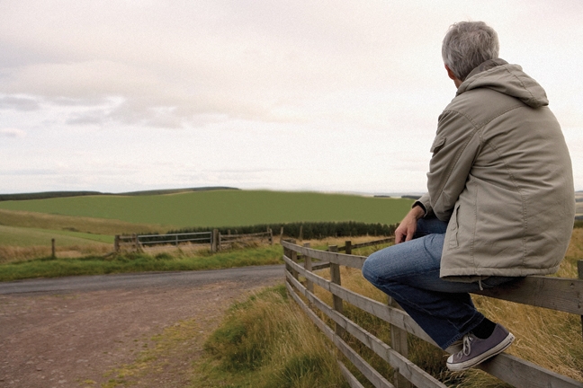 Quotes Sitting On The Fence. QuotesGram