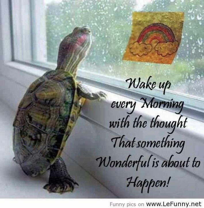 Funny Quotes Wake Up QuotesGram Funny Quotes Wake Up QuotesGram
