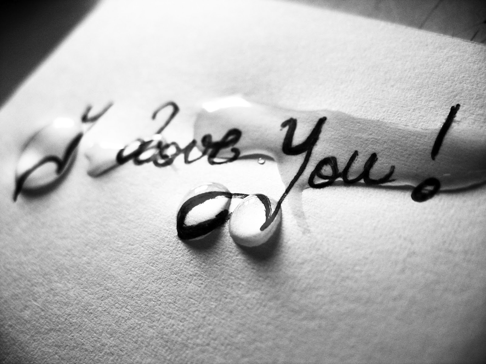 Love White Background Quotes. QuotesGram