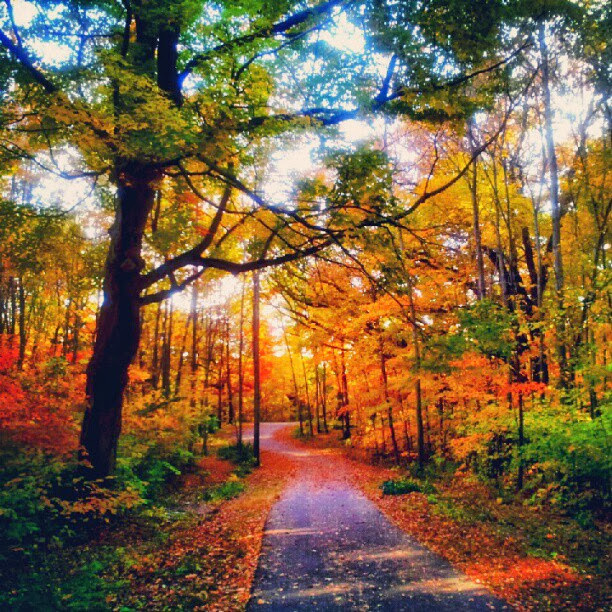 Beautiful Fall Day Quotes. QuotesGram
