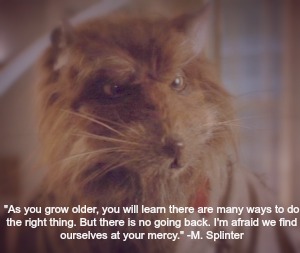 Splinters Quotes. QuotesGram