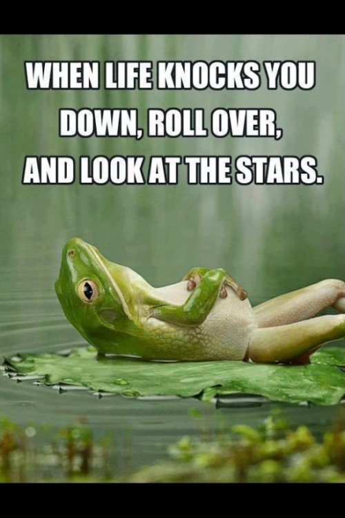 When Life Gets You Down Quotes Quotesgram