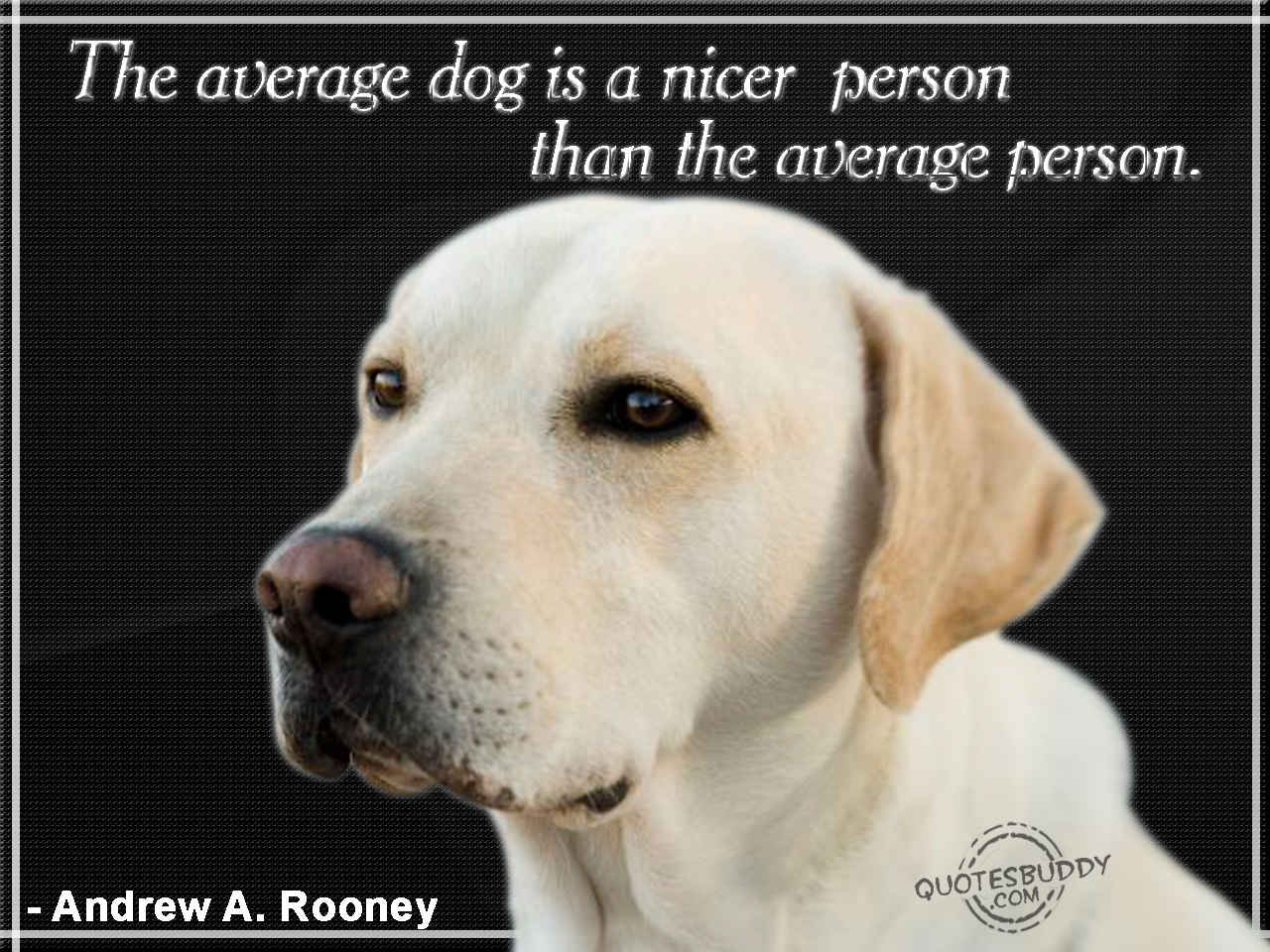 Dog Training Quotes Inspirational QuotesGram