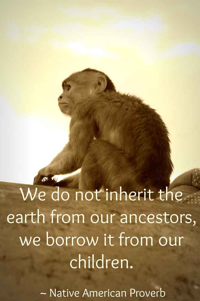 Earth Friendly Quotes QuotesGram earth-friendly-quotes-quotesgram