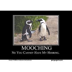 Quotes About Mooching. QuotesGram