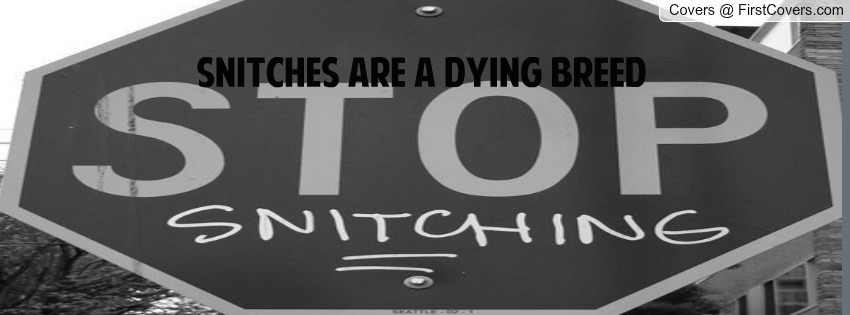 Stop Snitching Quotes Quotesgram