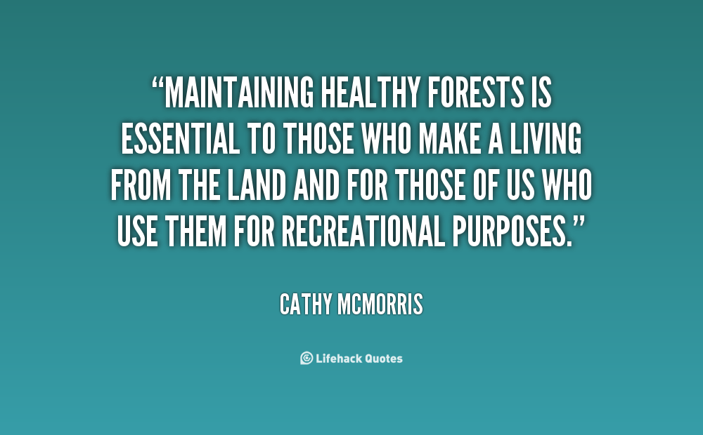 Maintaining Quotes. QuotesGram