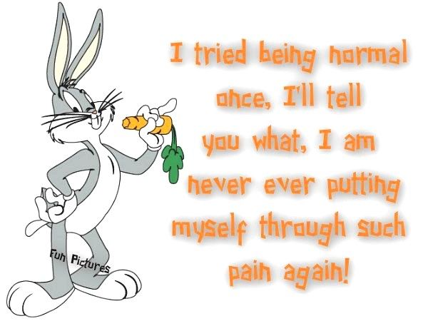 Funny Quotes About Not Being Normal. QuotesGram