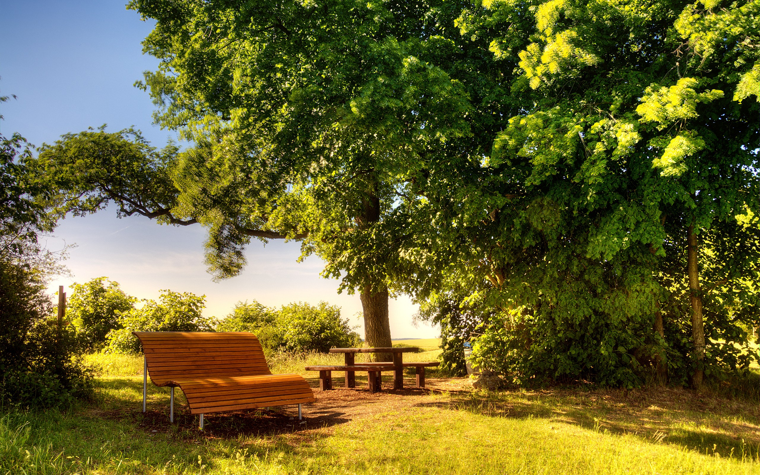 Beautiful Sunny Day Quotes QuotesGram