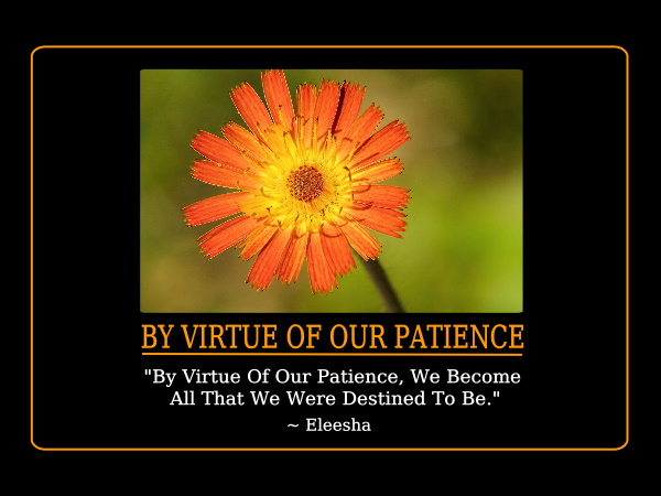 Spiritual Quotes On Patience. QuotesGram
