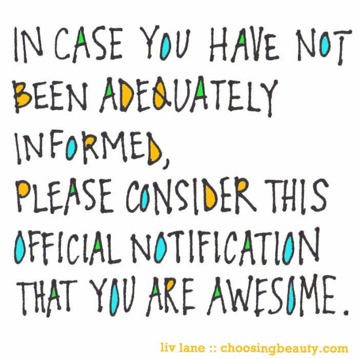 You Are Awesome Funny Quotes. QuotesGram You Are Awesome Funny Quotes. QuotesGram