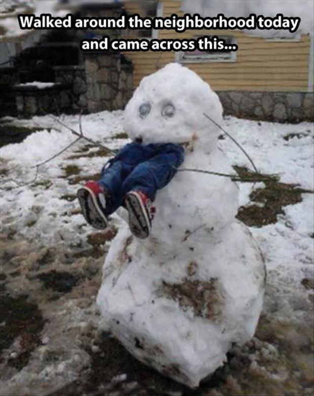 Funny Quotes Winter Humor QuotesGram