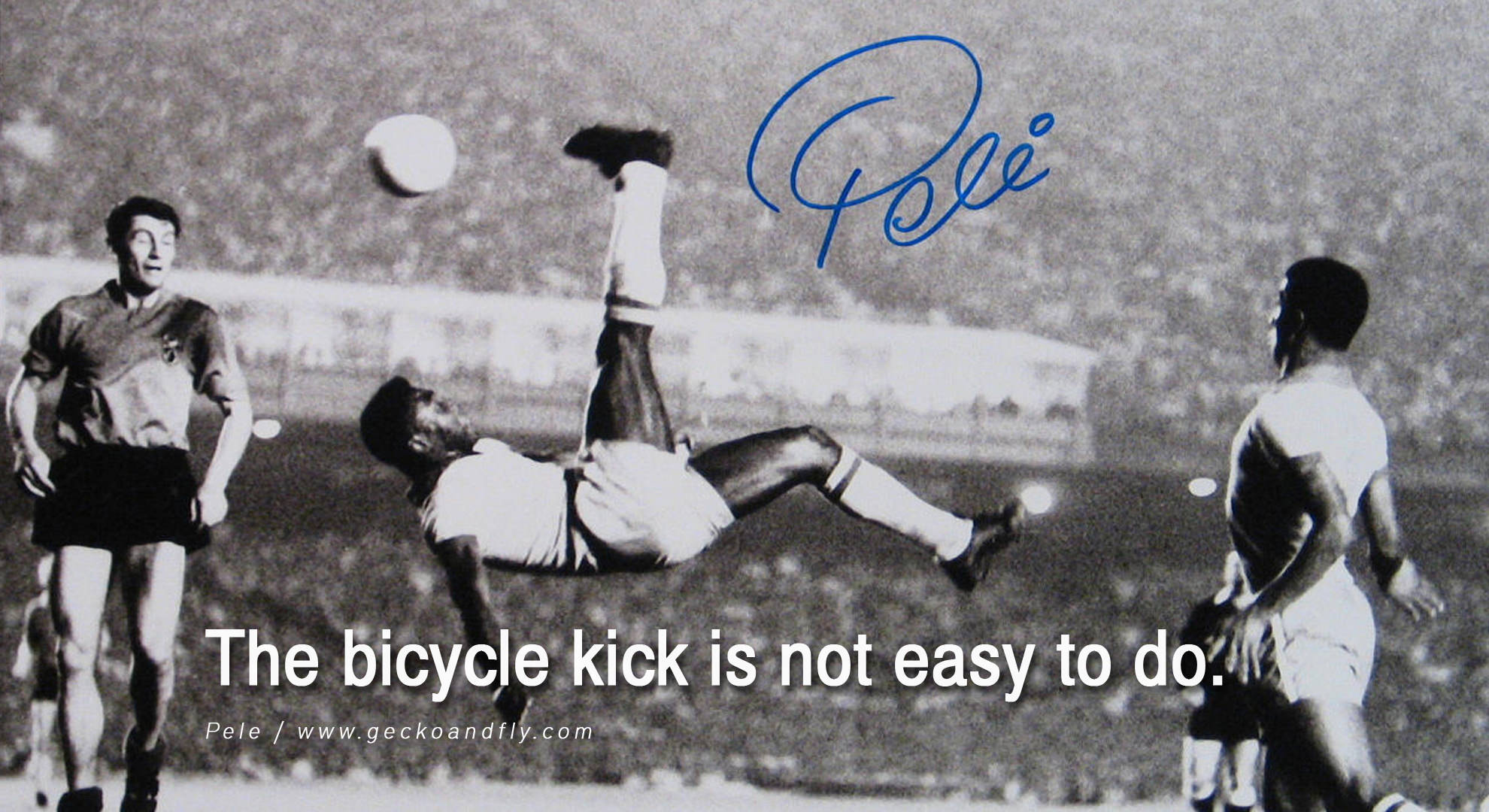 Pele Soccer Player Quotes. QuotesGram
