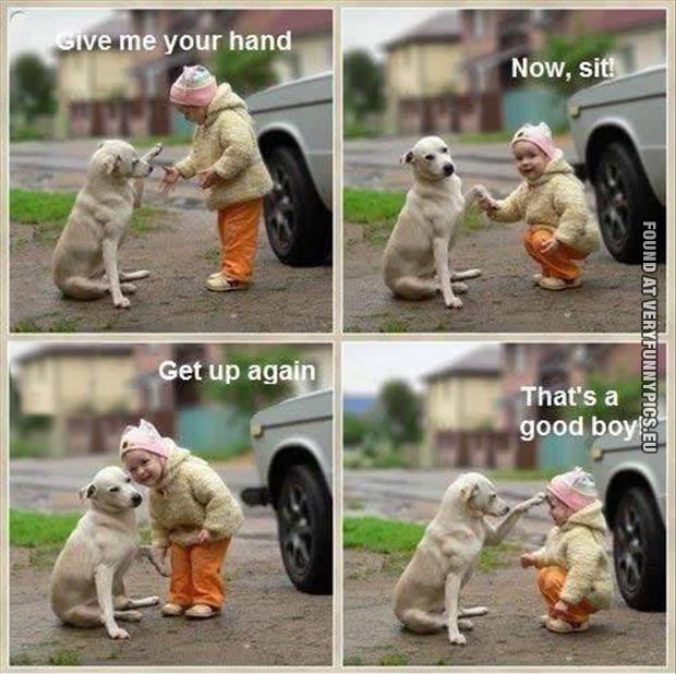 Dog Training Funny Quotes QuotesGram