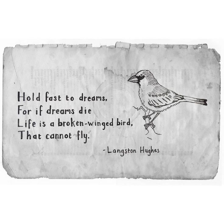 Bird Quotes And Poems QuotesGram Bird Quotes And Poems QuotesGram