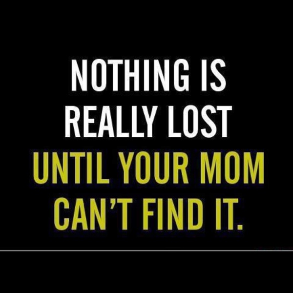 True Funny Quotes About Everything QuotesGram true-funny-quotes-about-everything-quotesgram
