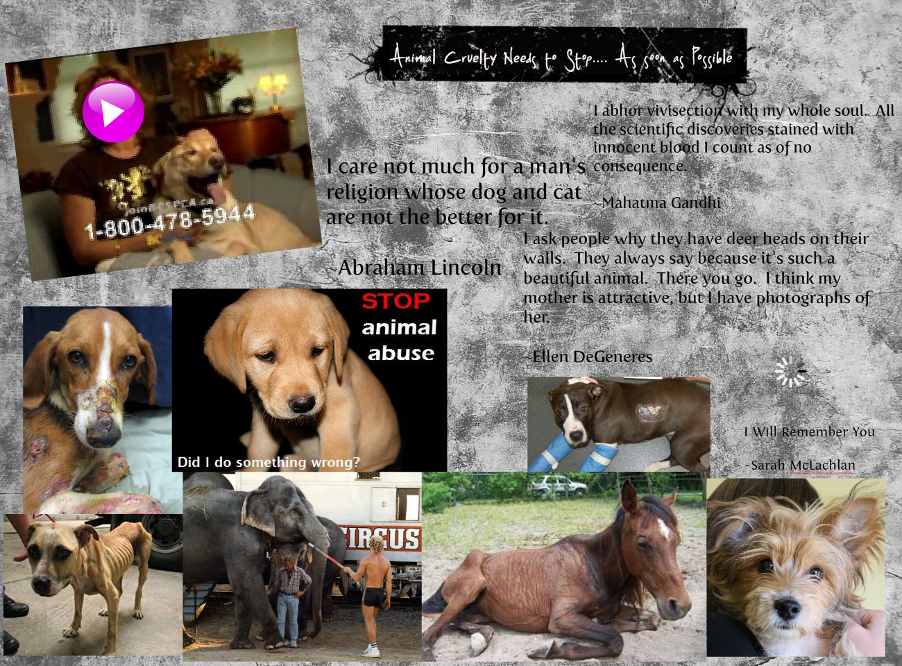 No Cruelty To Animals Quotes QuotesGram no-cruelty-to-animals-quotes-quotesgram