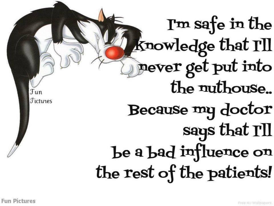Funny Quotes About May QuotesGram Funny Quotes About May QuotesGram