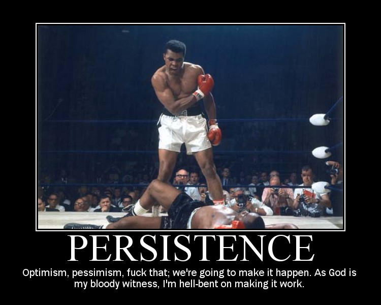 Funny Quotes About Persistence. QuotesGram