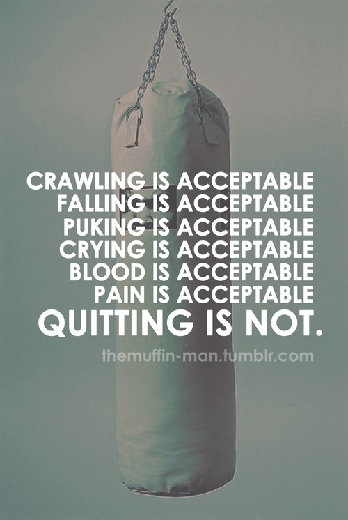Quitting Is Not An Option Quotes QuotesGram Quitting Is Not An Option Quotes QuotesGram