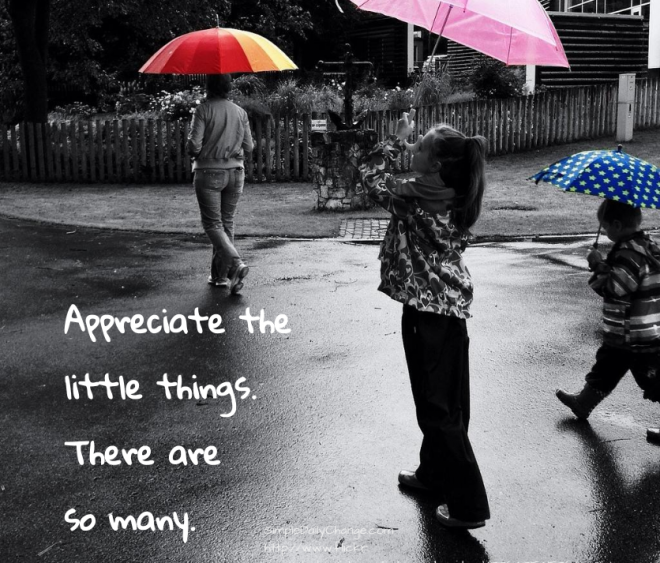 Appreciate The Small Things Quotes. QuotesGram