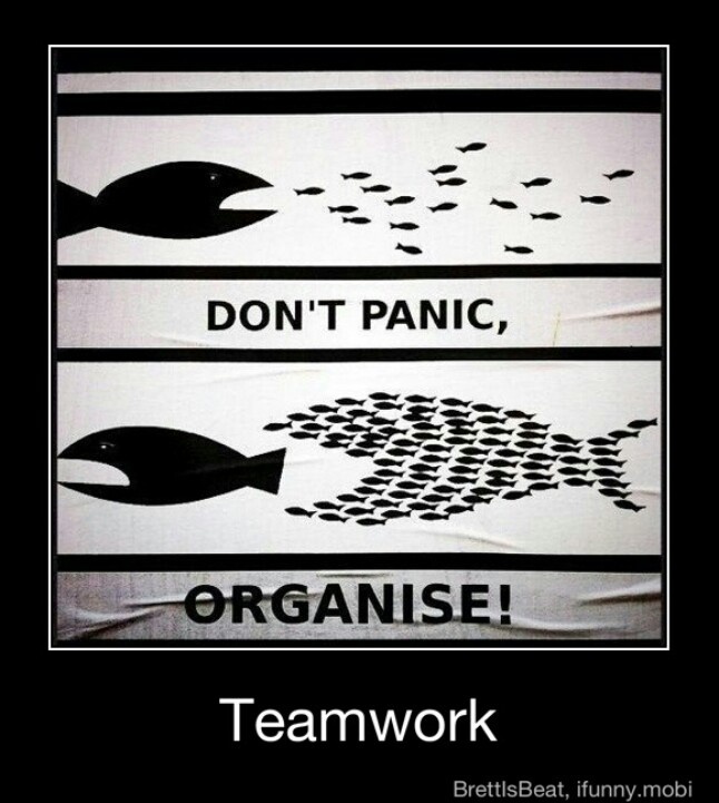 Fish Teamwork Quotes. QuotesGram