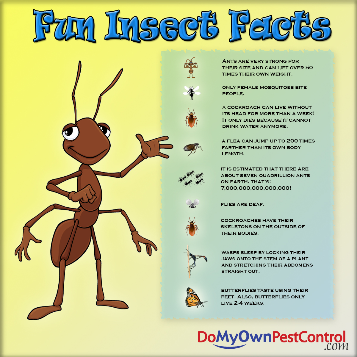 Quotes About Insects QuotesGram