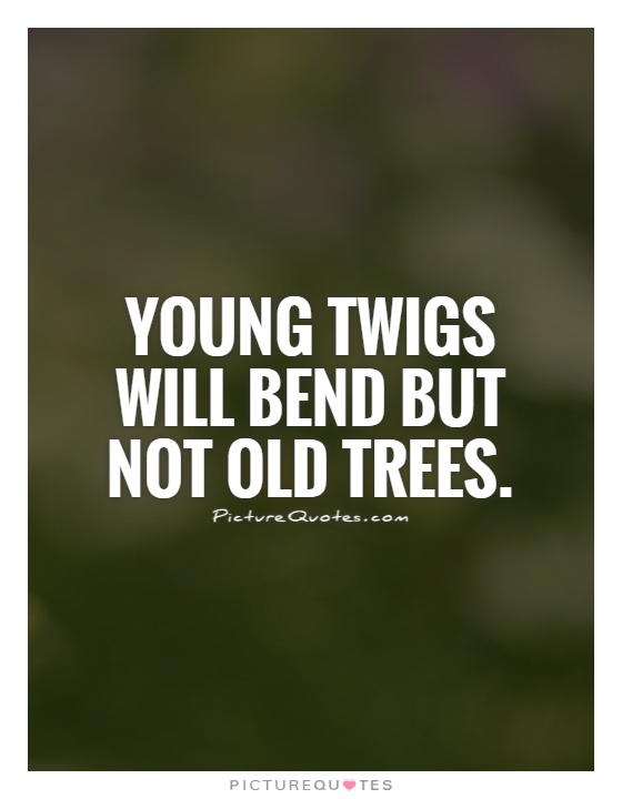 Old Trees Quotes And Sayings QuotesGram old-trees-quotes-and-sayings-quotesgram