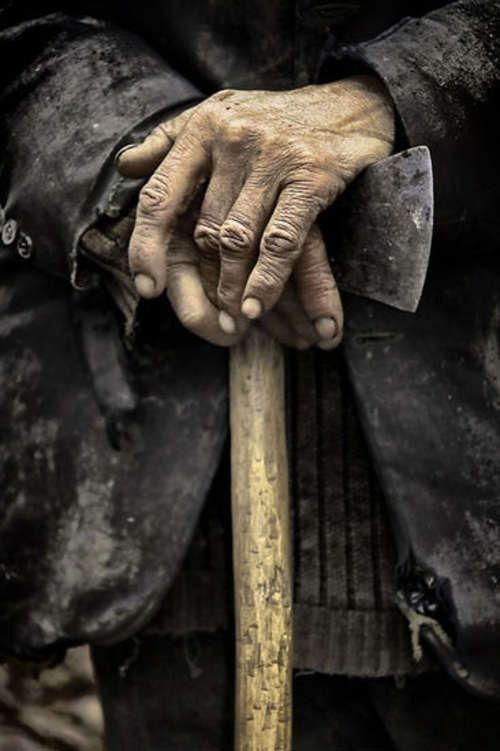 Hard Working Hands Quotes QuotesGram