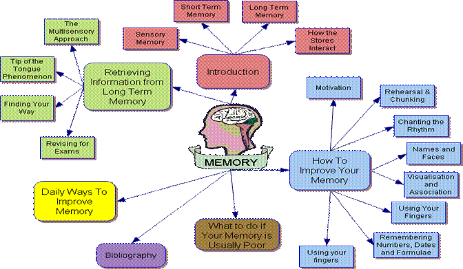Human Mind Memory Quotes. QuotesGram