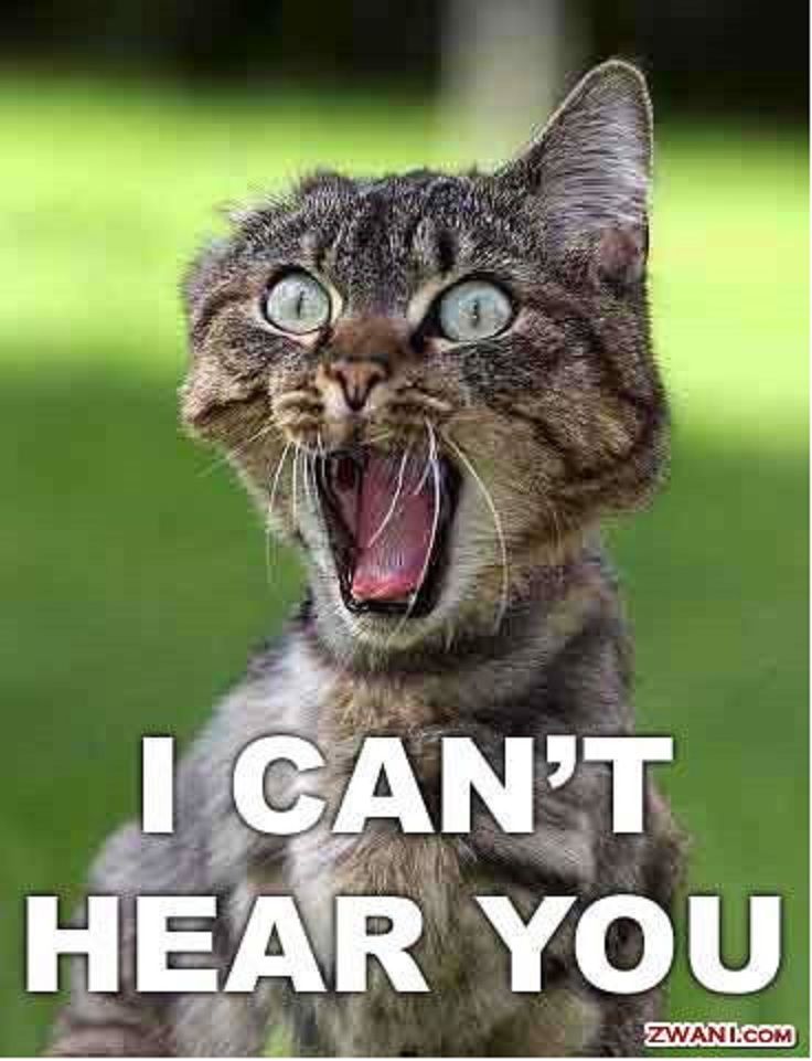 I Can T Hear You Quotes. QuotesGram