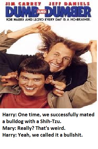 Funniest Quotes From Movies QuotesGram funniest-quotes-from-movies-quotesgram