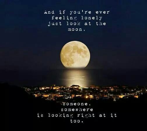 To The Moon Game Quotes QuotesGram to-the-moon-game-quotes-quotesgram