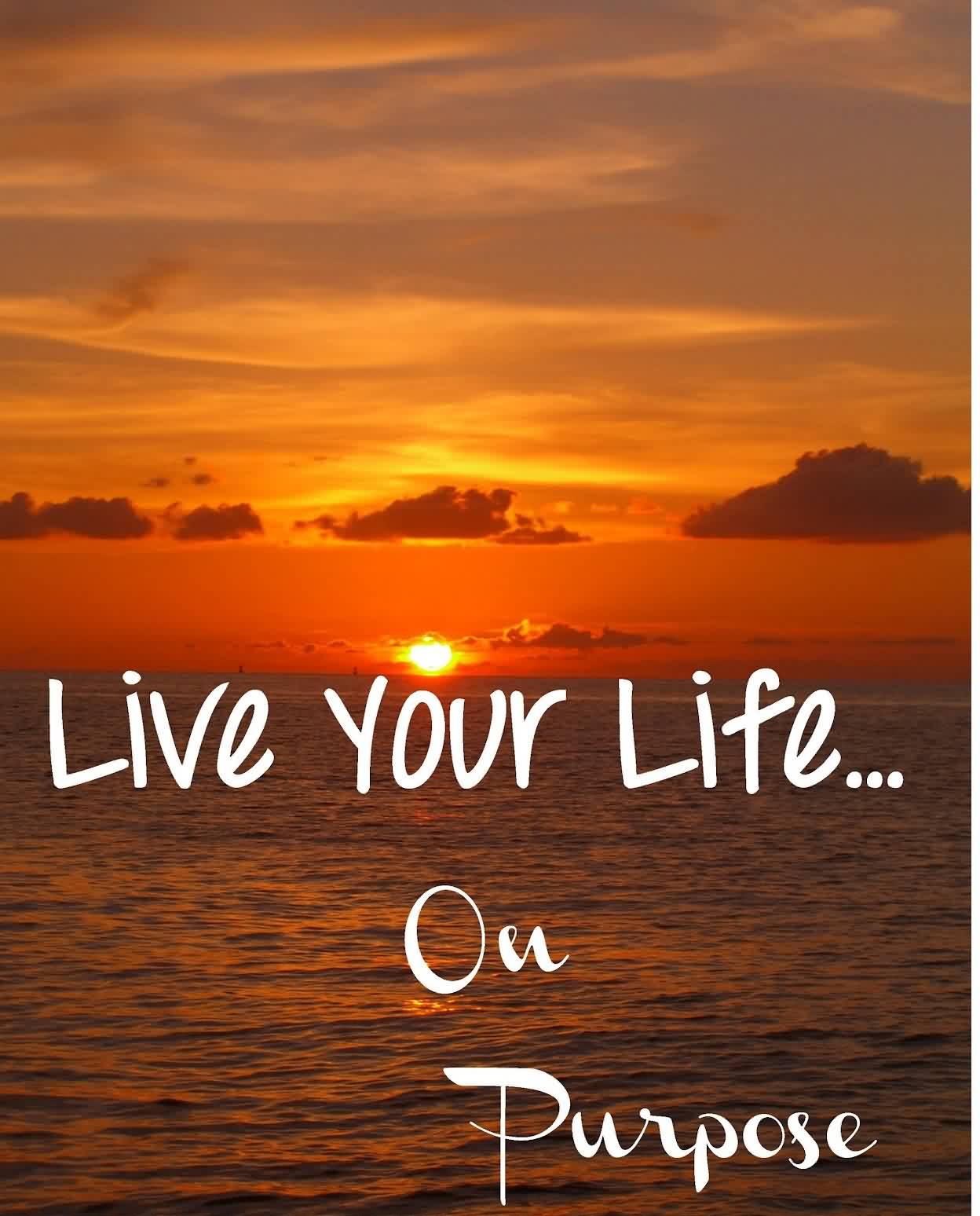 Your Purpose In Life Quotes QuotesGram