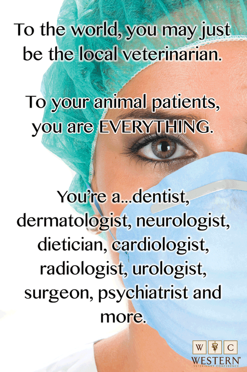 Vet Quotes QuotesGram vet-quotes-quotesgram