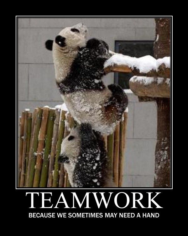 Funny Teamwork Quotes QuotesGram