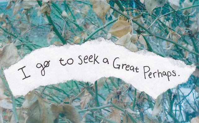 Pictures To Seek A Great Perhaps John Green Quotes. QuotesGram