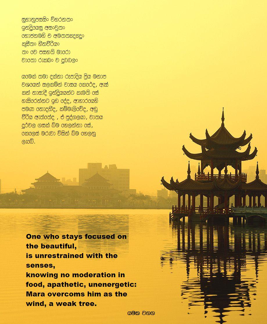 Sinhala Quotes About Buddhism QuotesGram