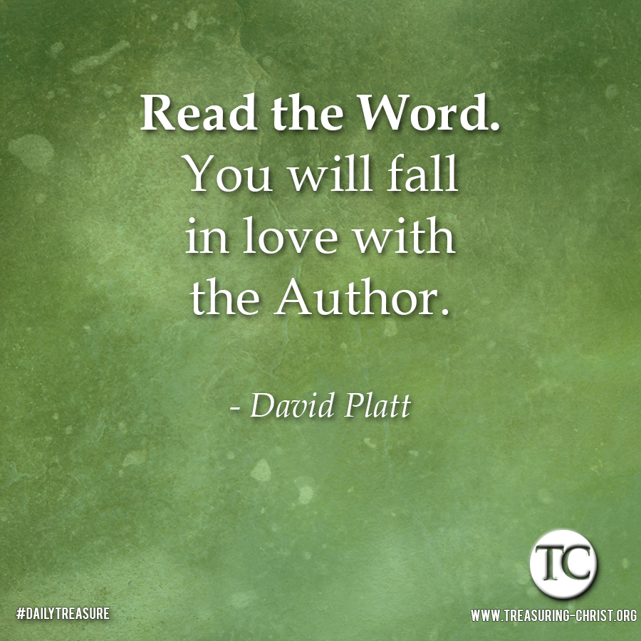 David Platt Quotes. QuotesGram