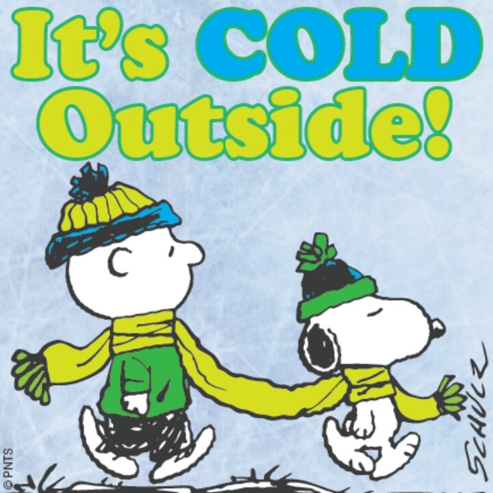 Its So Cold Funny Quotes QuotesGram Its So Cold Funny Quotes QuotesGram