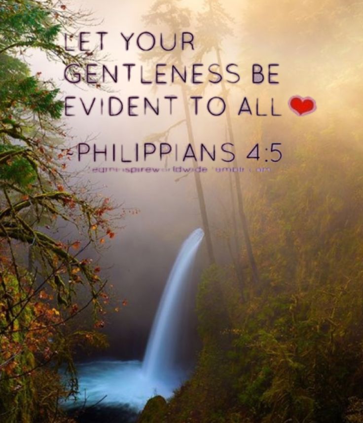 Bible Quotes On Gentleness QuotesGram