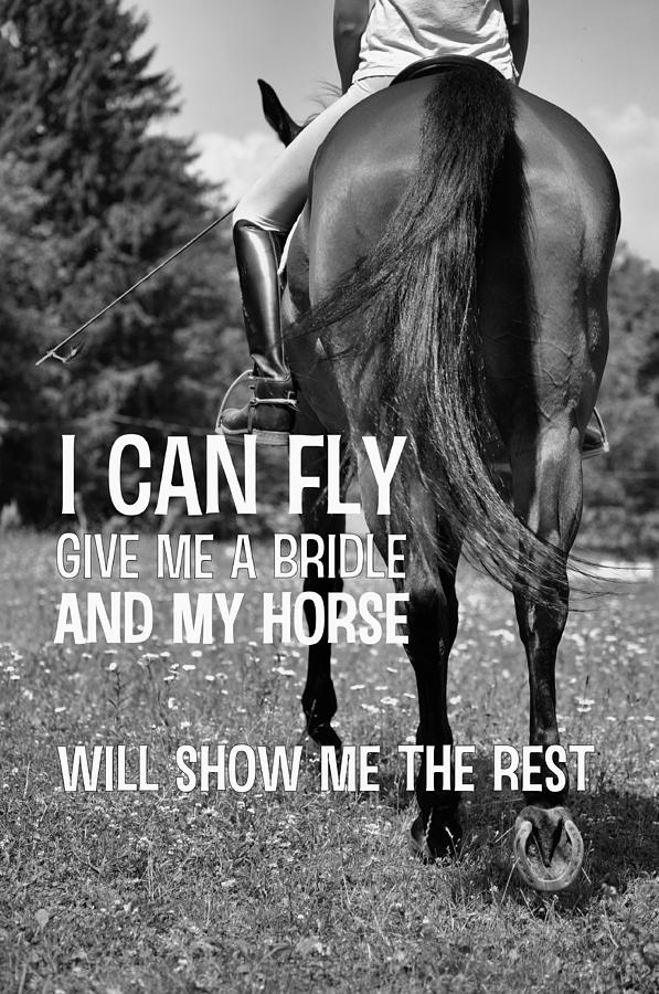 Dressage Funny Quotes. QuotesGram