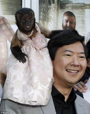 Asian Dude From Hangover Quotes. QuotesGram