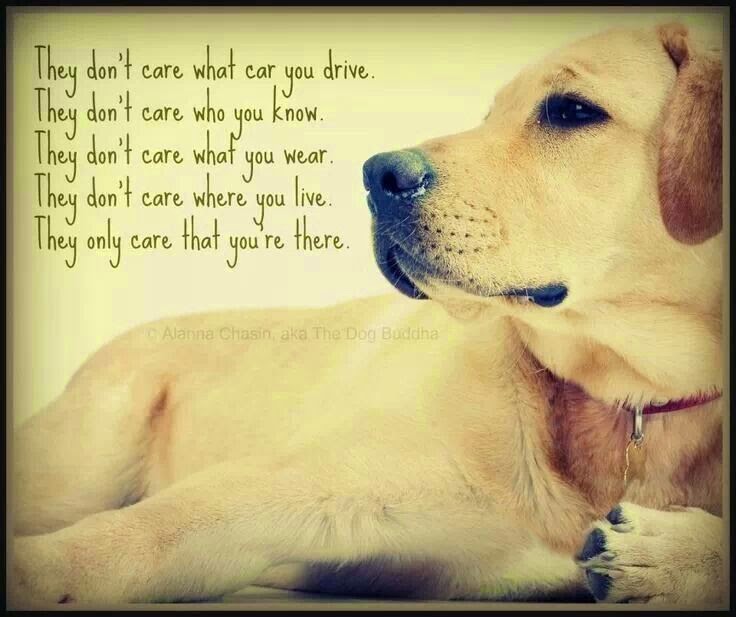 Dog And God Quotes QuotesGram
