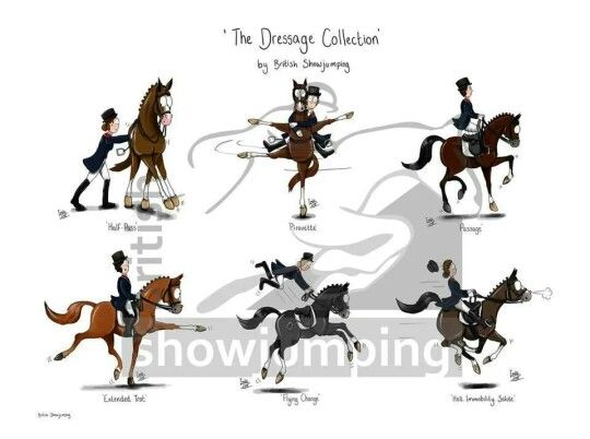 Dressage Quotes. QuotesGram