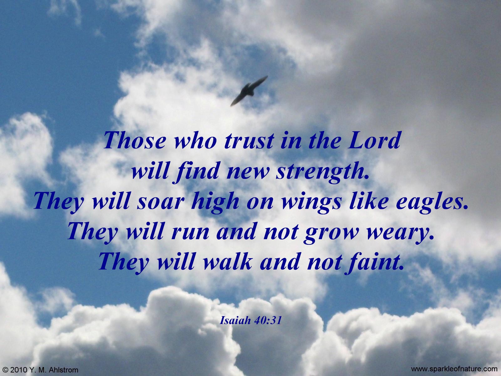 Inspirational Quotes About Flying High QuotesGram